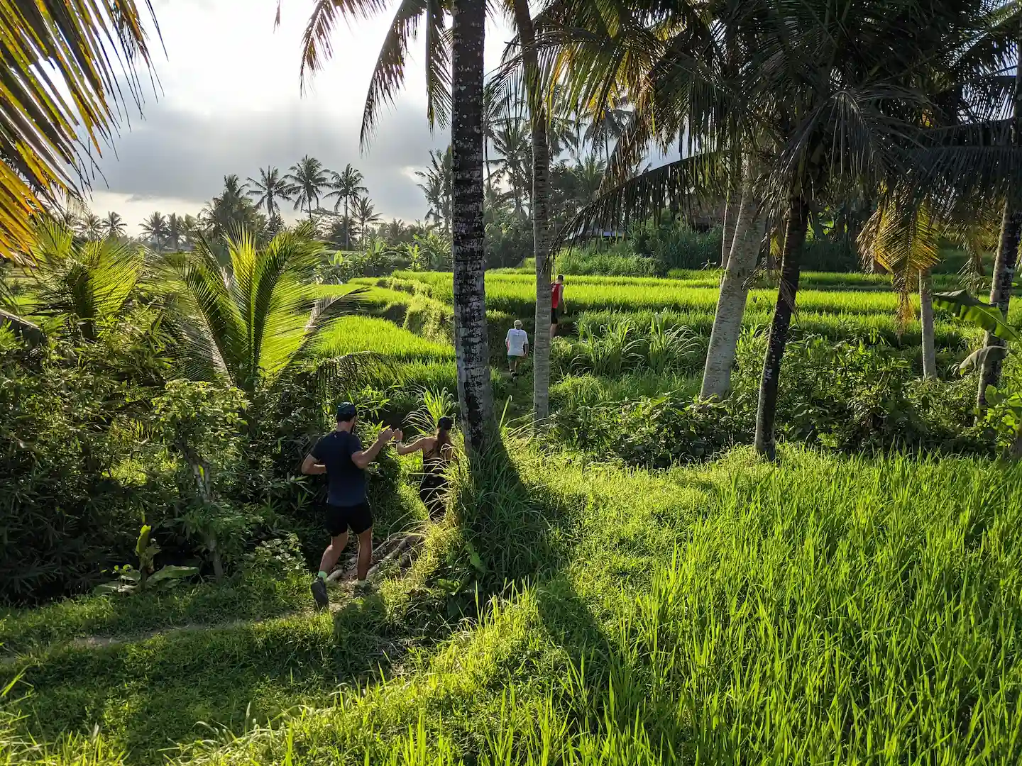 Bali Hash House Harriers 2 – What is Hashing?
